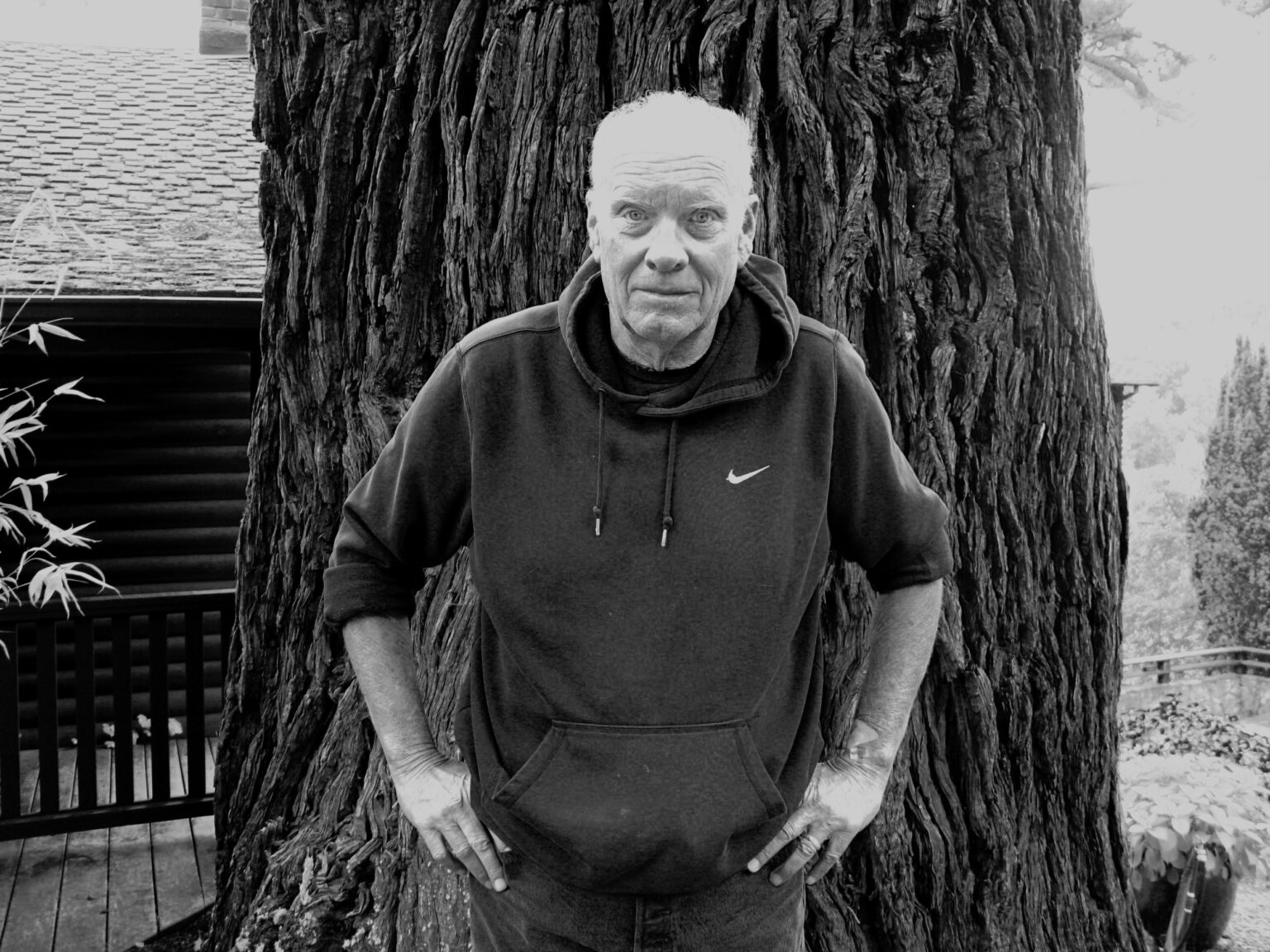 From the 60’s to the ‘9ers with David Harris - MillValleyLit