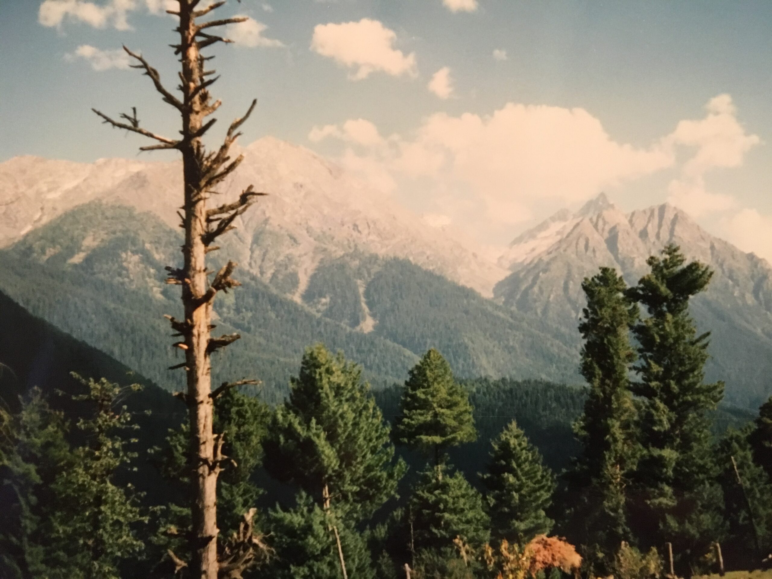 A Journey Through Chaos and Beauty: Uzbekistan to Kashmir, 1987 ...